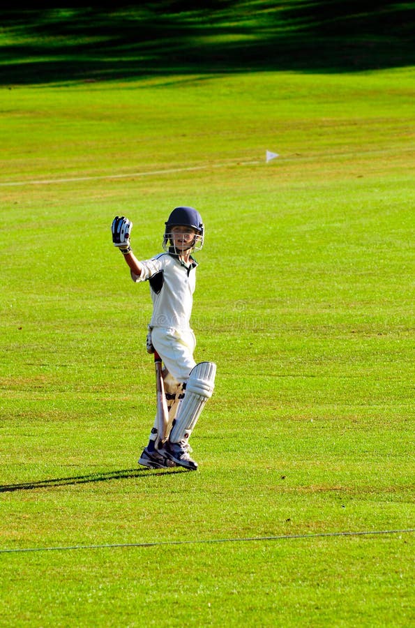 Boy cricketer stock image. Image of summer, healthy, recreation - 7143831