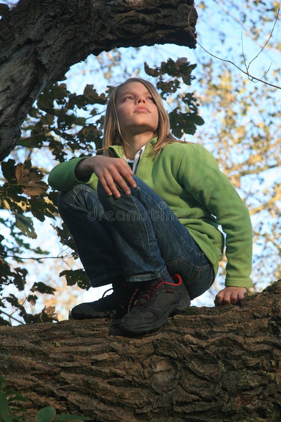 Boy Crouching on Tree Branch Stock Image - Image of background, hair ...