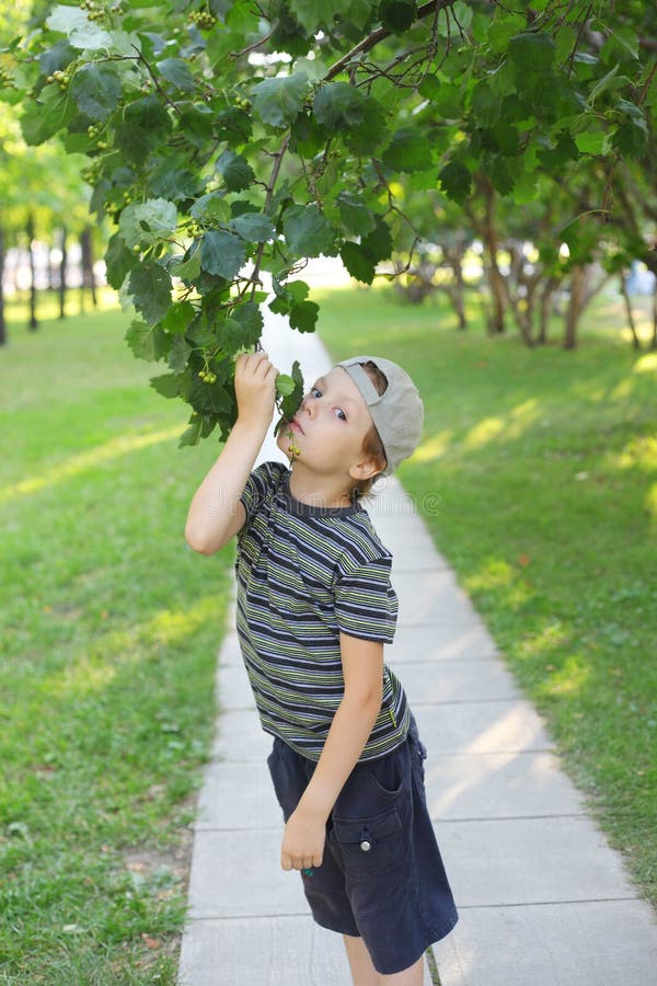 Boy stock image. Image of flower, landscape, city, nature - 48488479