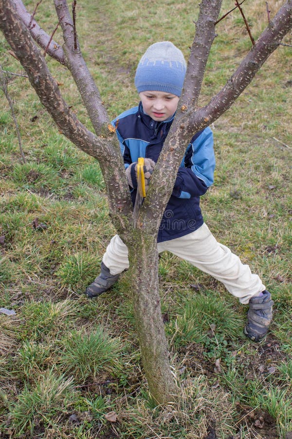 Boy cutting tree stock photo. Image of spring, work, industry - 88504232