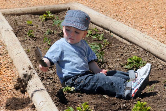 1,134,404 Dirt Stock Photos - Free & Royalty-Free Stock Photos from ...