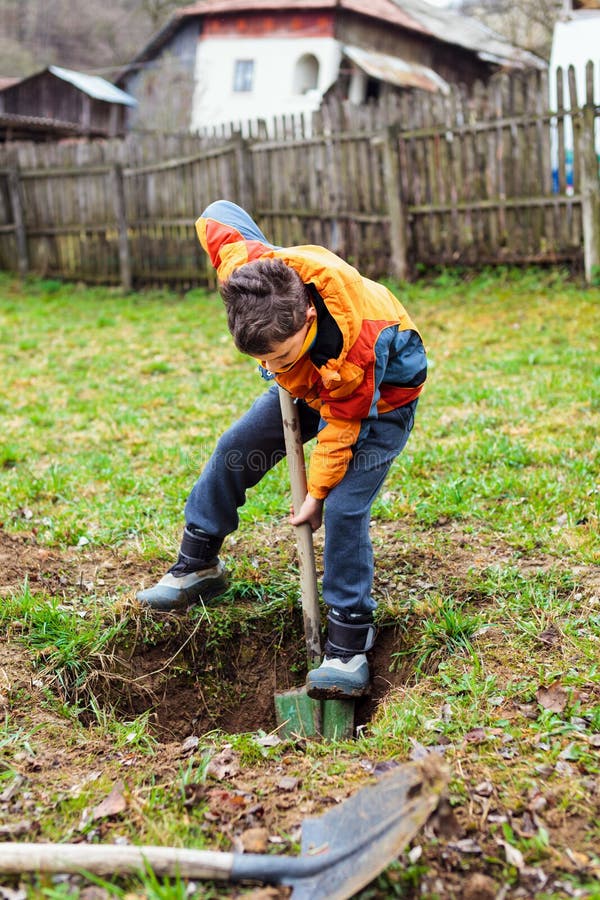 Boy digging in the ground stock photo. Image of happy - 24325106