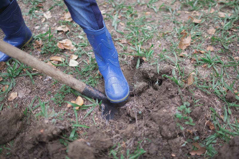 The Boy is Digging the Ground in the Park in the Fall. Worked Process ...