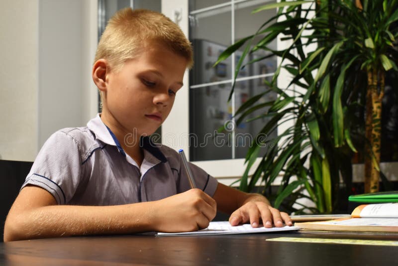 Boy Does Homework in the Evening. School Load on Children Stock Photo ...