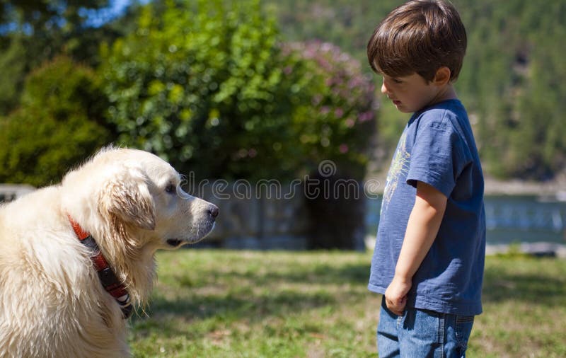 Boy and dog stock image. Image of cheerful, gold, domestic - 10769939