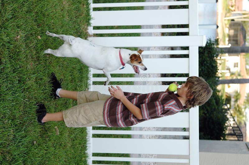 Boy and dog stock photo. Image of happy, companion, play - 1389306