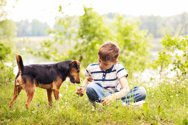 Boy and dog stock photo. Image of caucasian, outside - 14923886