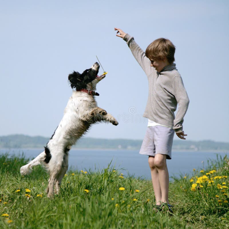 Boy and dog stock photo. Image of play, park, chase, exercise - 3567176