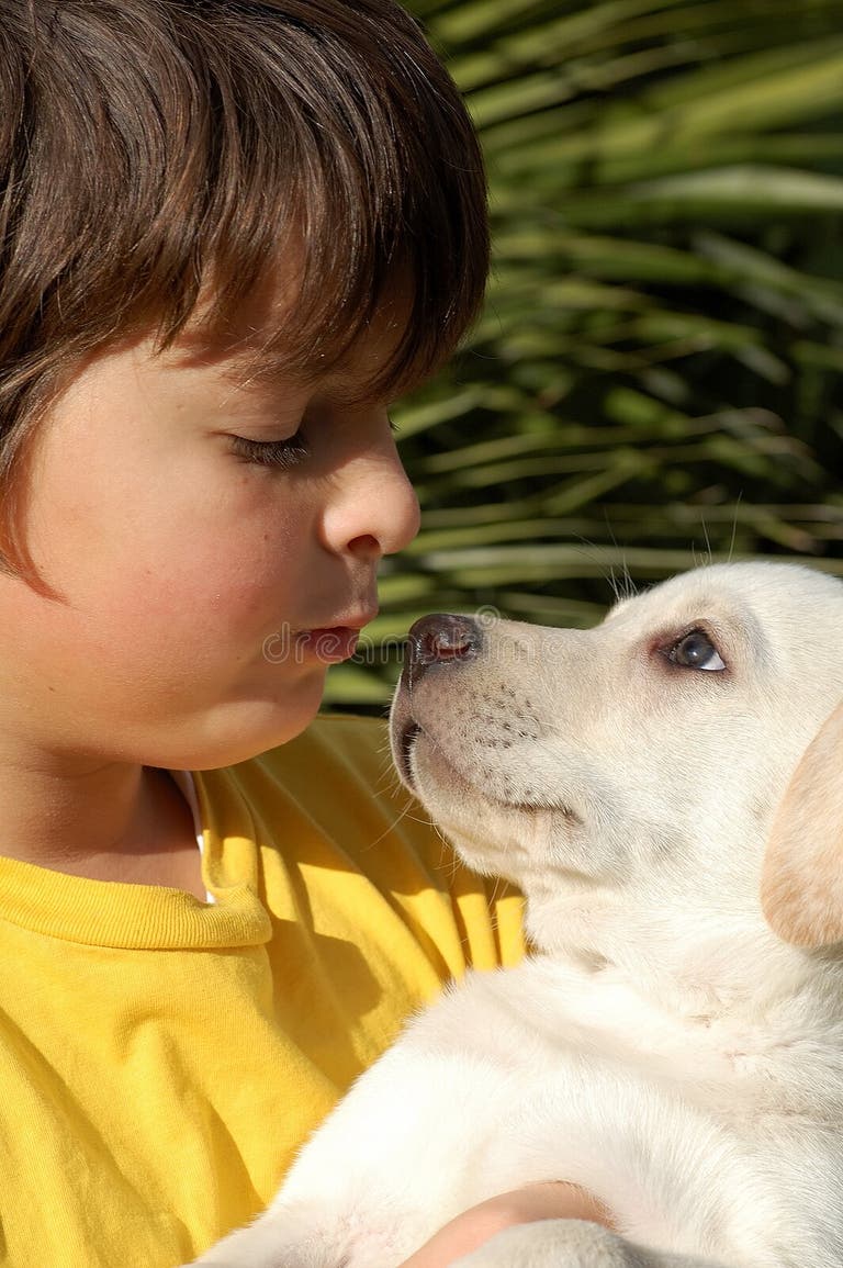 3,366 Labrador Dog Boy Stock Photos - Free & Royalty-Free Stock Photos ...