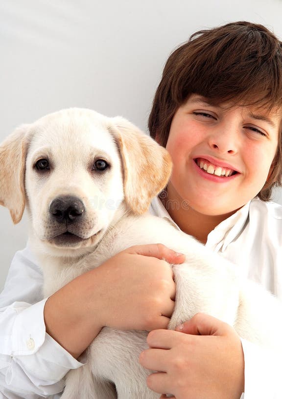 3,366 Labrador Dog Boy Stock Photos - Free & Royalty-Free Stock Photos ...