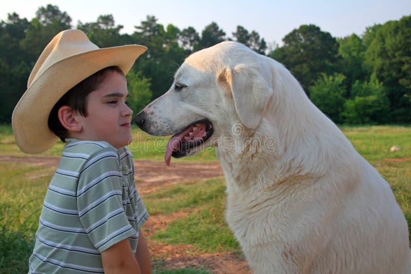 Boy & Dog stock photo. Image of children, dogs, juvenile - 5375722