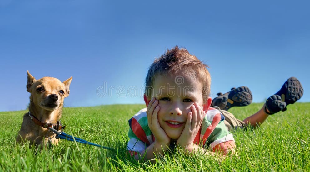 Boy and dog stock image. Image of cute, pals, friends - 6147517