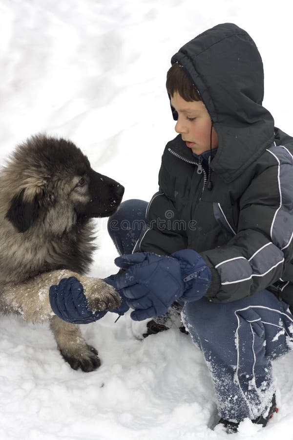 Boy and Dog stock image. Image of close, happiness, face - 7740843