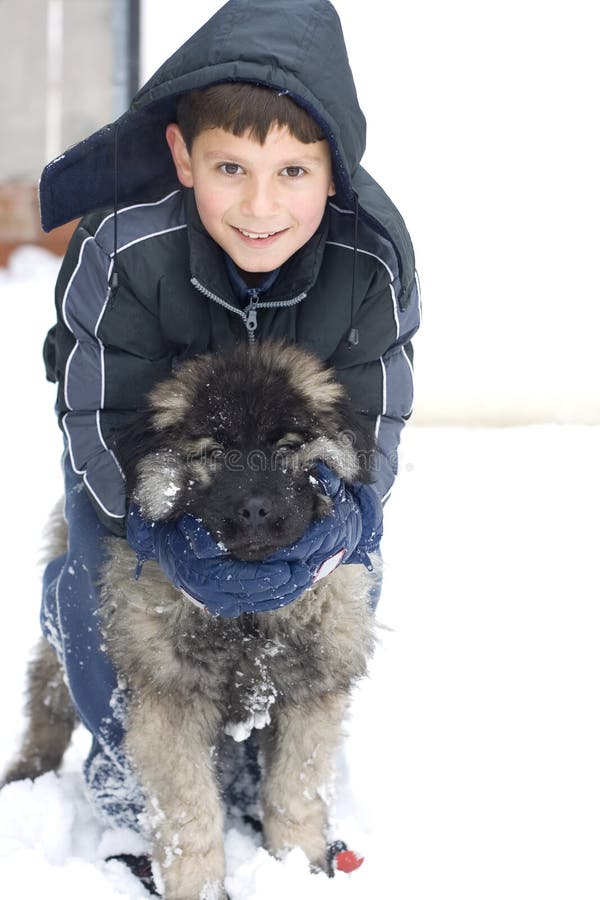 Boy and Dog stock image. Image of companionship, smile - 7740895