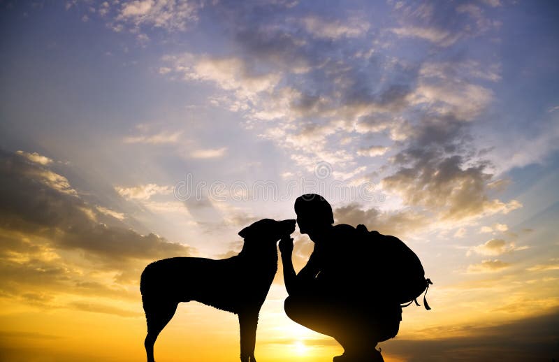 Boy And Dog Silhouette At Sunset Lake Stock Image - Image of romantic ...