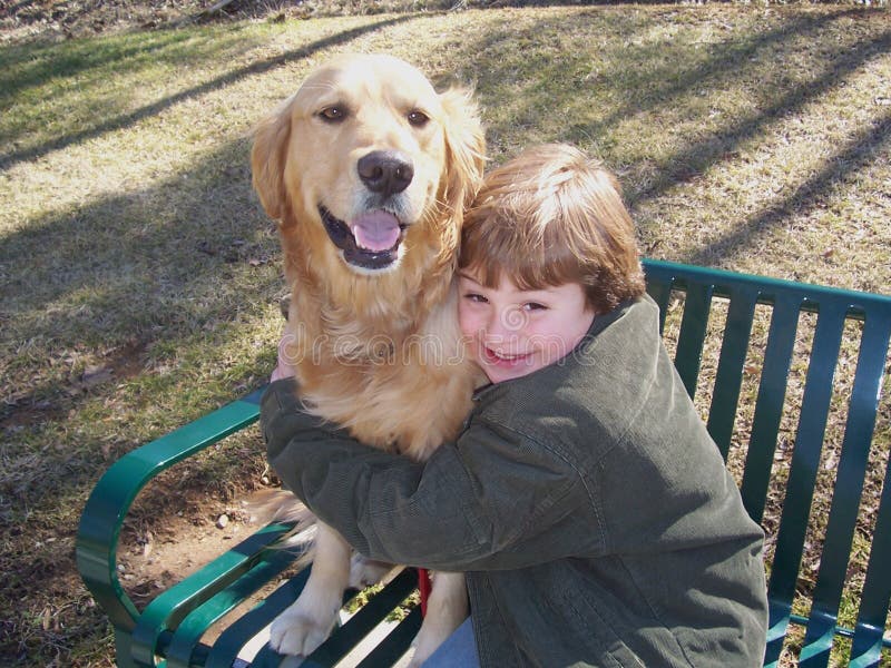 Boy and dog on bench stock image. Image of green, retriever - 1992307