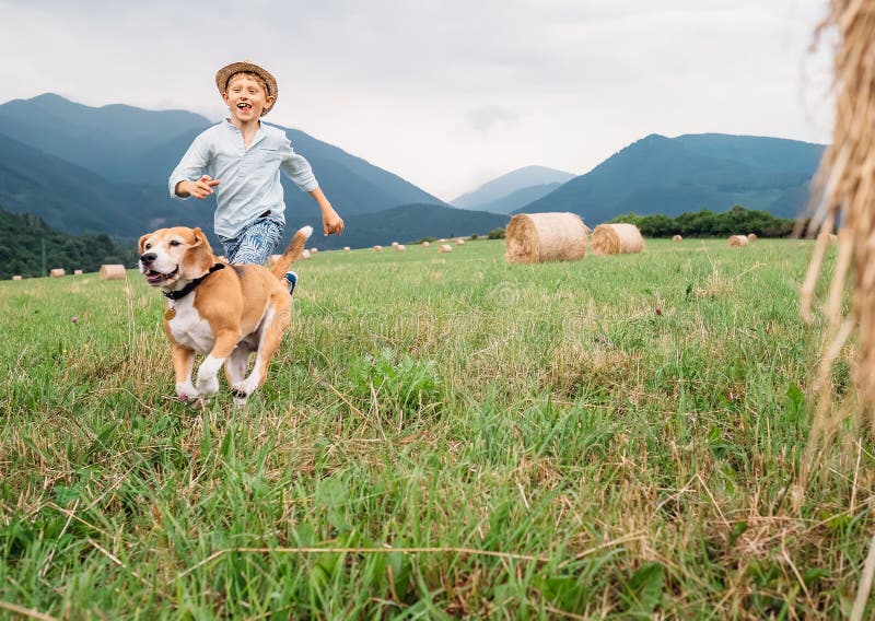 Boy and Dog Run Together on the Field with Haystacks Stock Image ...