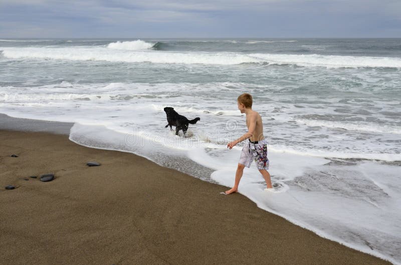 Boy and Dog on Shore stock photo. Image of play, blue - 36996100