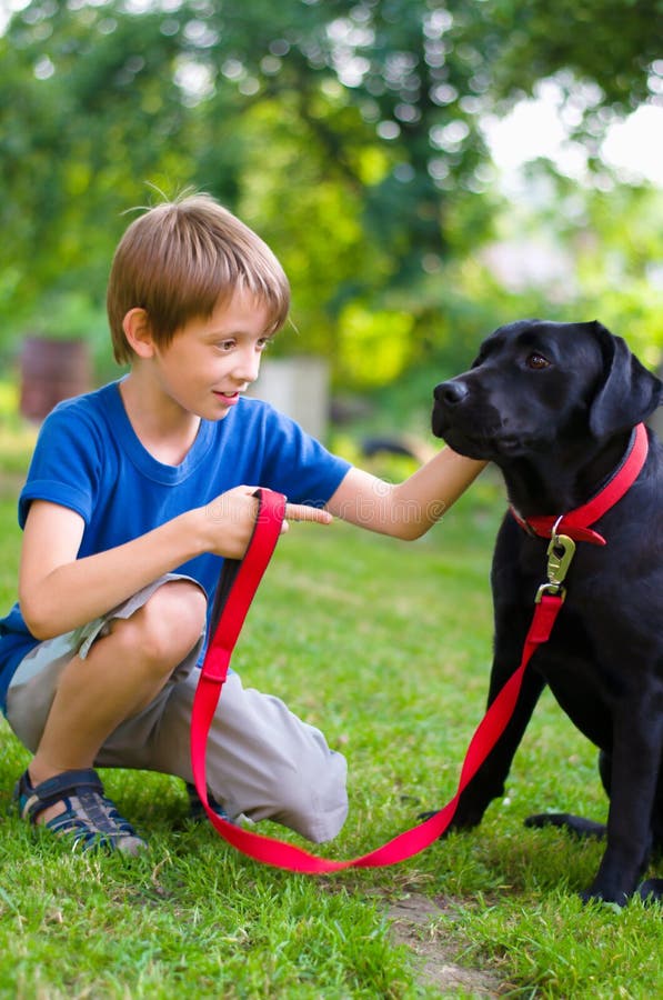Boy with dog stock photo. Image of grass, park, outside - 34581916