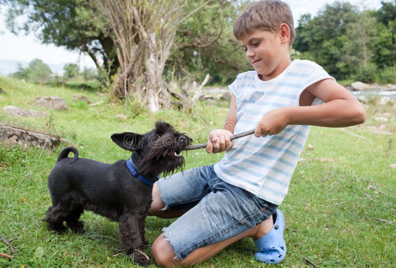 Boy and dog stock image. Image of branch, friendship - 45139815