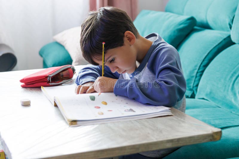 Boy doing homework at home stock image. Image of knowledge - 260826951