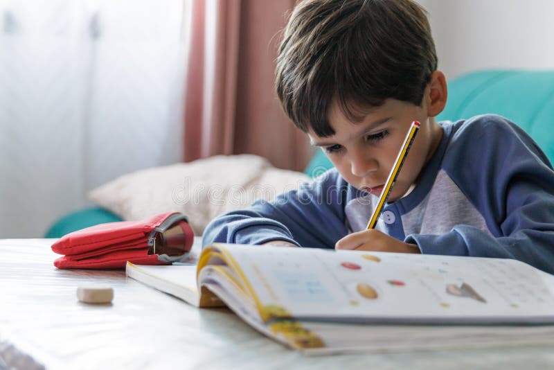 Boy doing homework at home stock image. Image of caucasian - 260826973