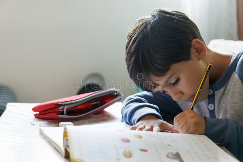 Boy doing homework at home stock image. Image of pupil - 260827077