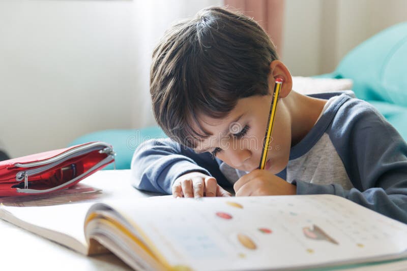 Boy doing homework at home stock image. Image of desk - 260827123