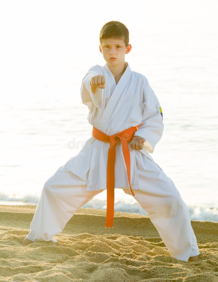 Boy doing karate poses stock image. Image of shore, person - 211526423