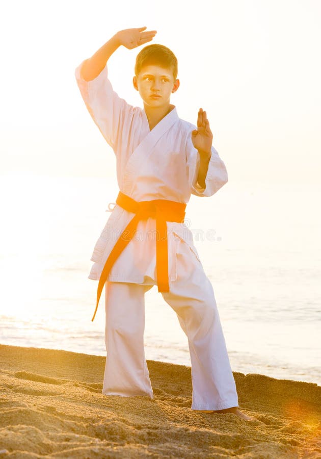 Boy doing karate poses stock image. Image of action - 231445625