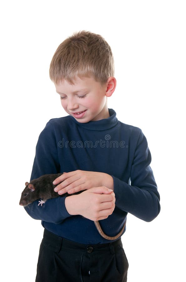 Boy with a domestic rat stock image. Image of rats, boys - 17350749