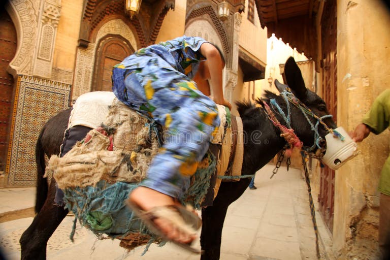 Donkey Boys Morocco Stock Photos - Free & Royalty-Free Stock Photos ...