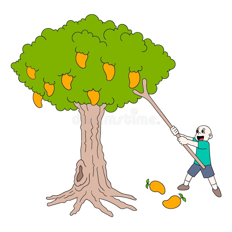 Mango Tree Drawing For Kids