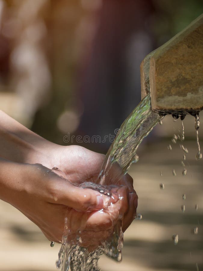 Natural Spring Water at Forest Stock Photo - Image of cool, ecosystem ...