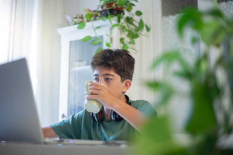 A Boy Drinks a Hot Beverage while Using a Laptop Computer Stock Photo ...
