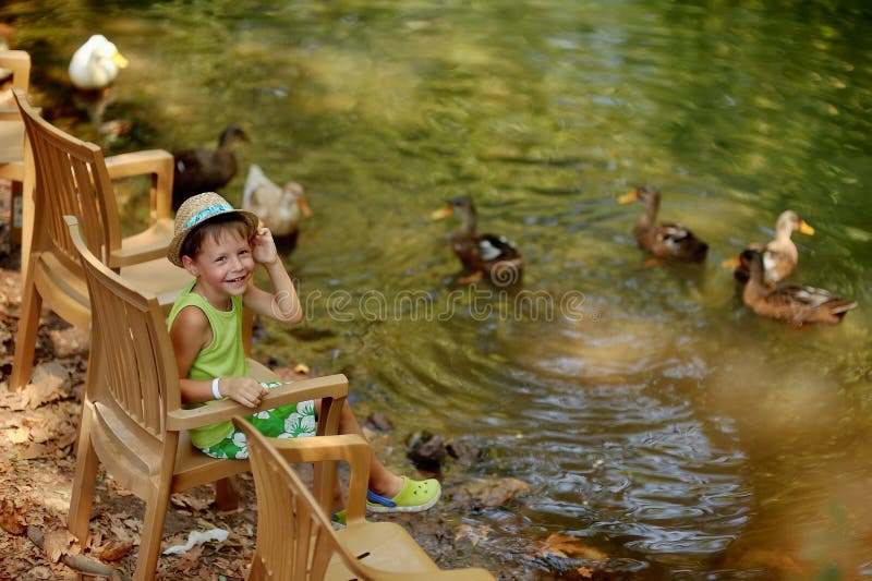 Boy and duck stock image. Image of concepts, grass, boys - 38296025