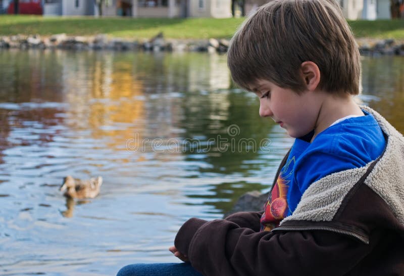 Boy at duck pond stock photo. Image of pond, thoughtful - 12038410