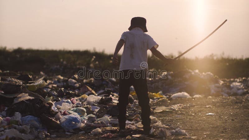 Boy in dump stock image. Image of neglected, garbage - 153416273