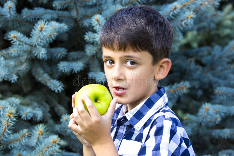 Boy eating an apple stock photo. Image of beauty, biting - 77268224