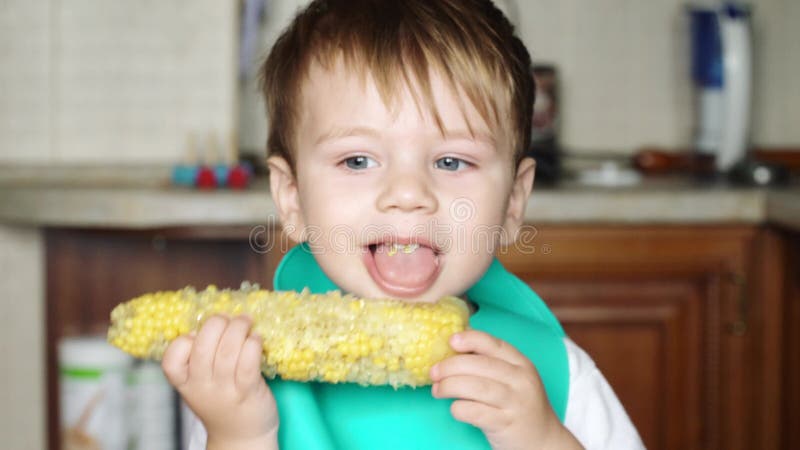 Boy eating boiled corn stock video. Video of maize, corncob - 205087561