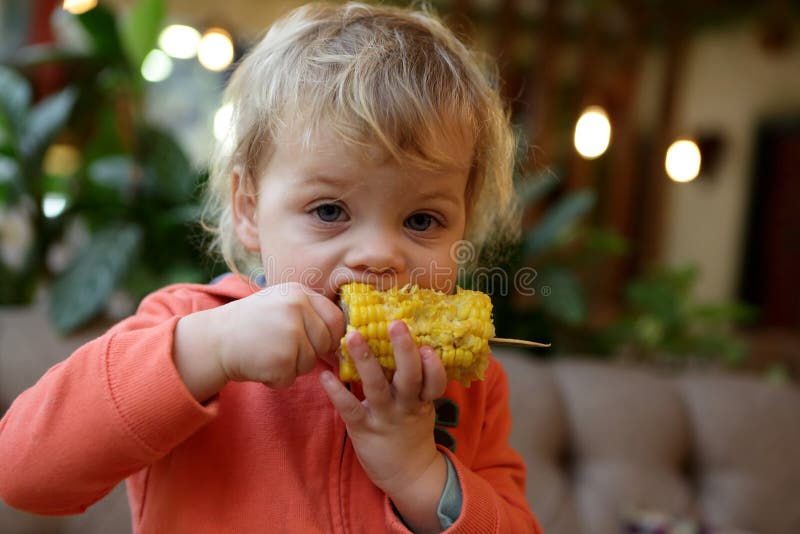 Boy eating cob corn stock photo. Image of healthy, light - 82743482