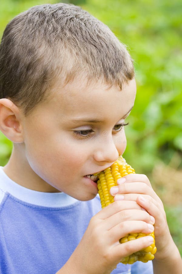 Boy Child Eating Organic Corn in Garden Stock Photo - Image of organic ...