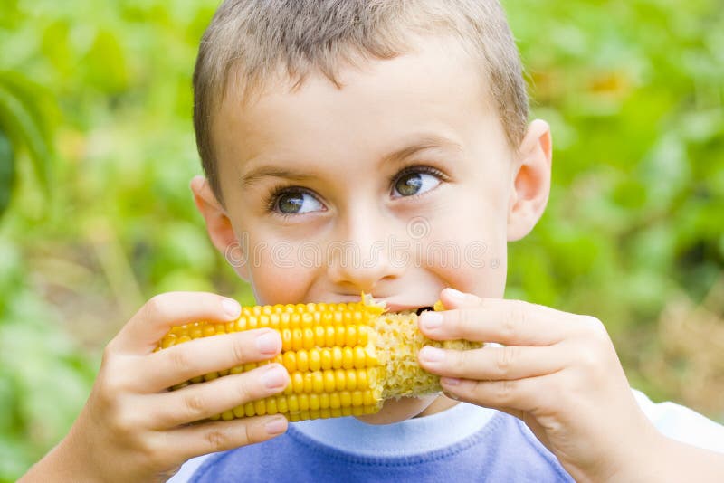 Boy eating corn stock photo. Image of summer, fiber, summertime - 6251758