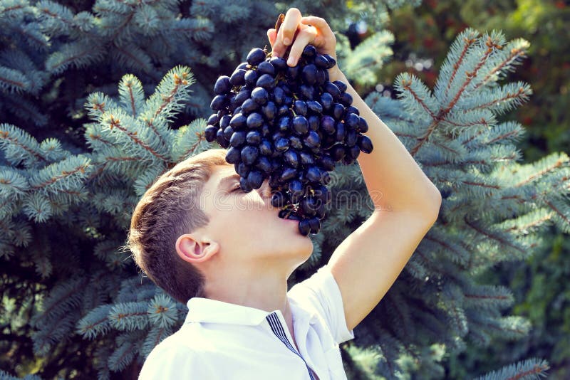 Boy eating grapes stock photo. Image of summer, child - 77267820