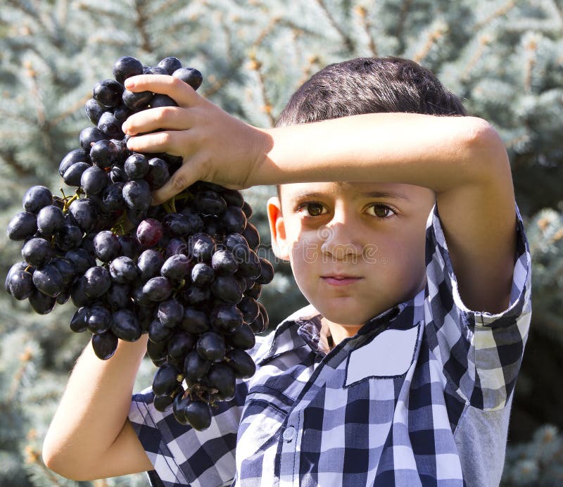 Boy eating grapes stock photo. Image of happy, luck, summer - 77268162