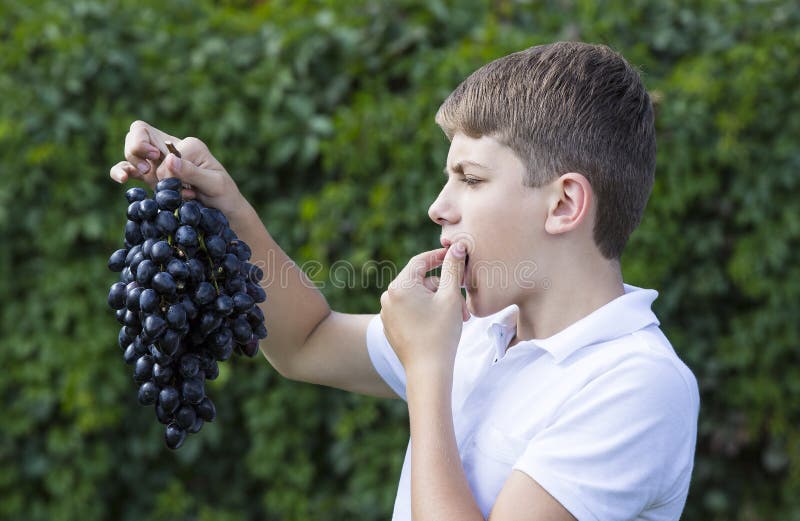 Boy eating grapes stock photo. Image of preschool, blue - 77608194