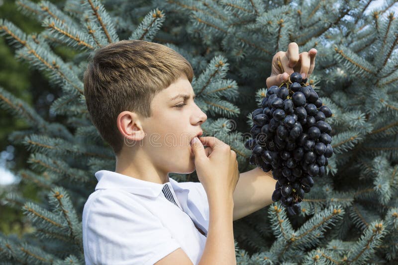 Boy eating grapes stock photo. Image of preschool, blue - 77608194