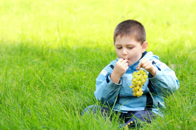 Boy eats grapes in meadow stock photo. Image of meadow - 10930458