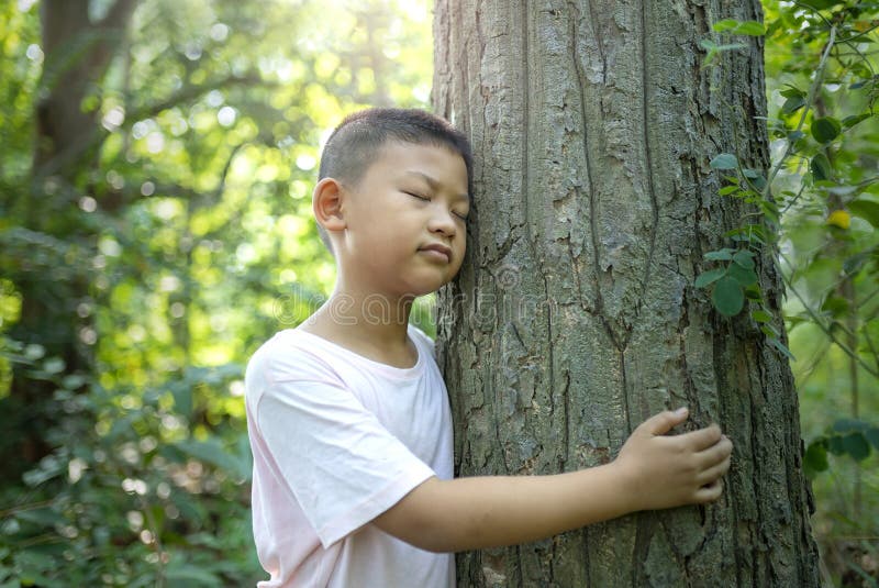 The boy embrace a tree stock image. Image of green, outdoor - 184116645