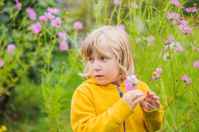 Boy Enjoying Pink Flowers in the Garden Stock Photo - Image of bunch ...